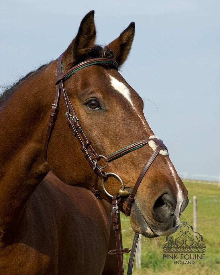 Pink Equine Ergonomic Bridle | Find the perfect fit!
