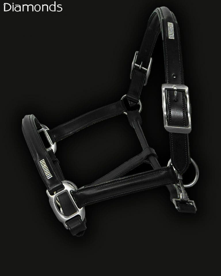 Browse our range of leather horse headcollars | Pink Equine