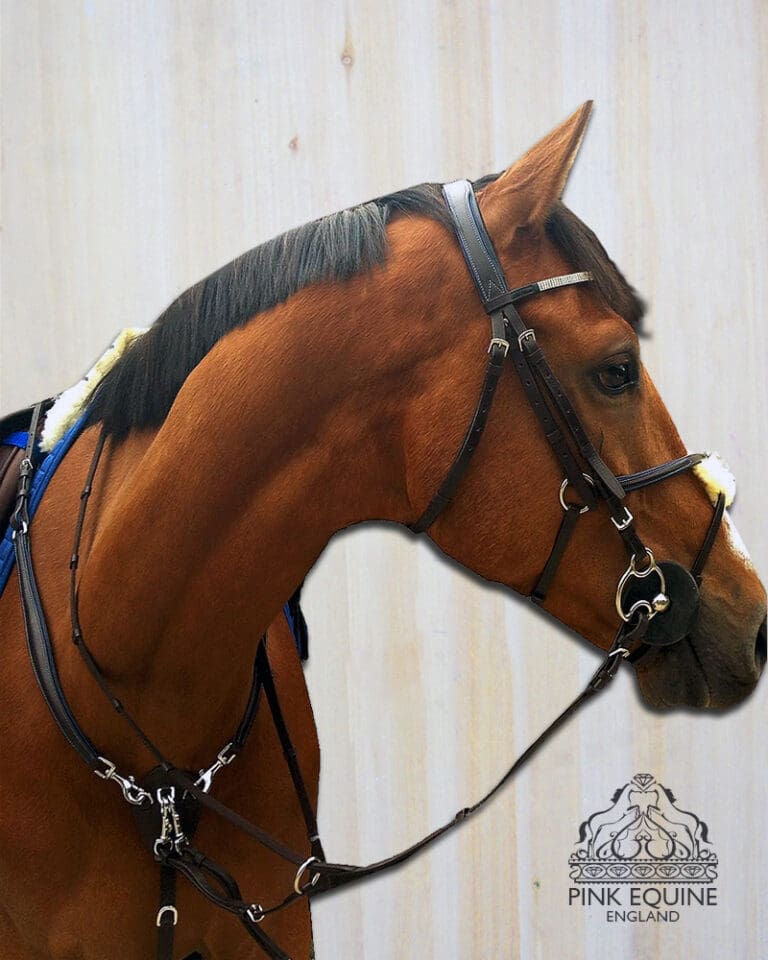Sport Interchange Horse Martingale / 3 Point Breastplate
