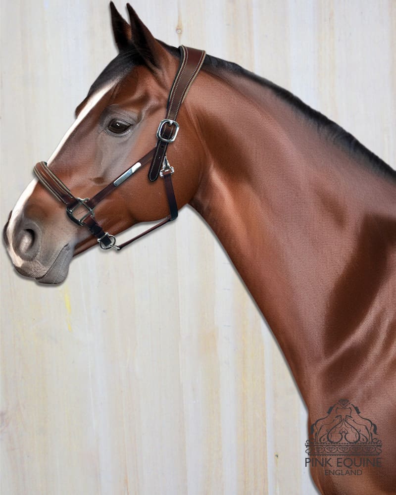 Pink Equine Personalised Leather Headcollar