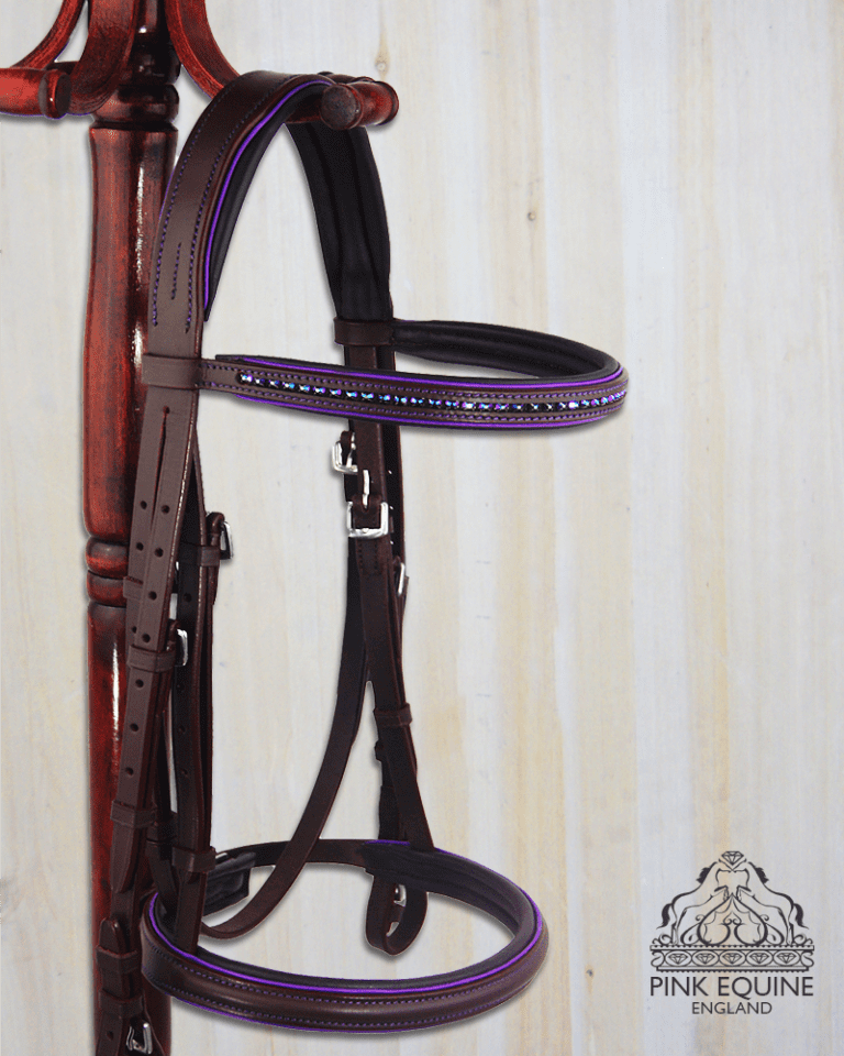 How to put a bridle on a horse in 6 easy steps
