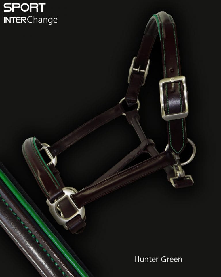 The Pink Equine Personalised Leather Headcollar