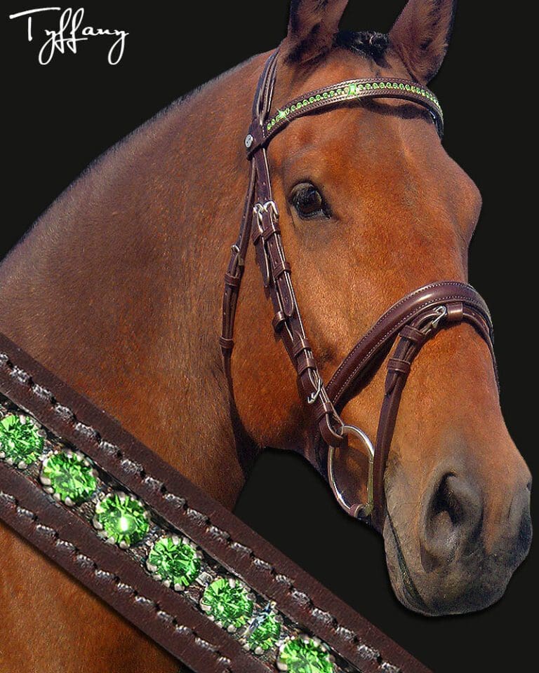 Buy our horse bridles online | Pink Equine