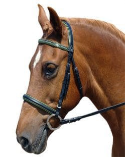Exploring parts of a bridle - A Guide to Bridle Anatomy.
