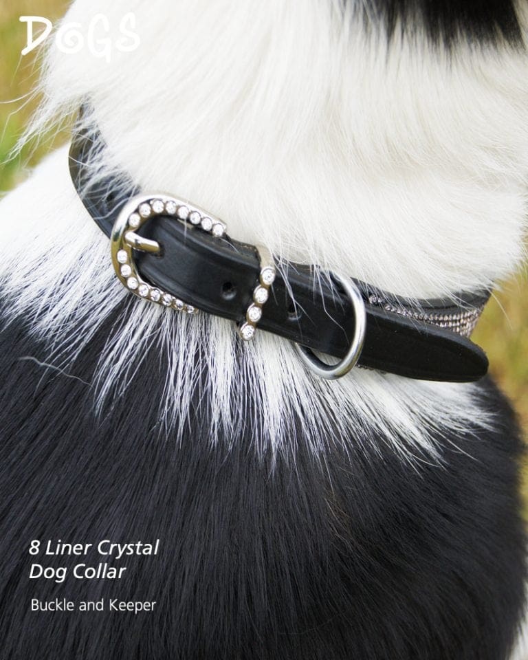 Stunning designer diamond dog collars | Pink Equine