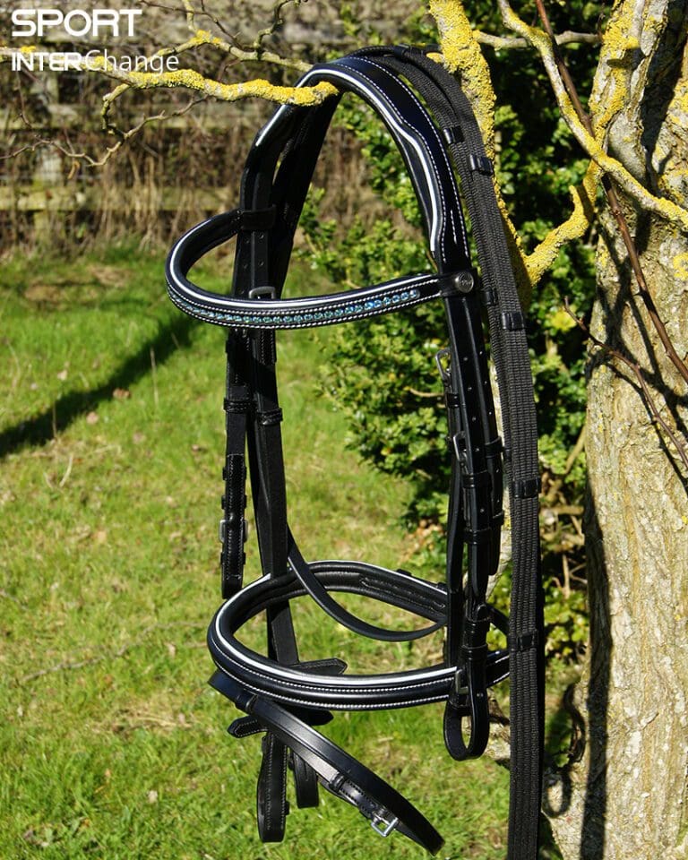 Black Leather English Pony Bridle with royal blue piping
