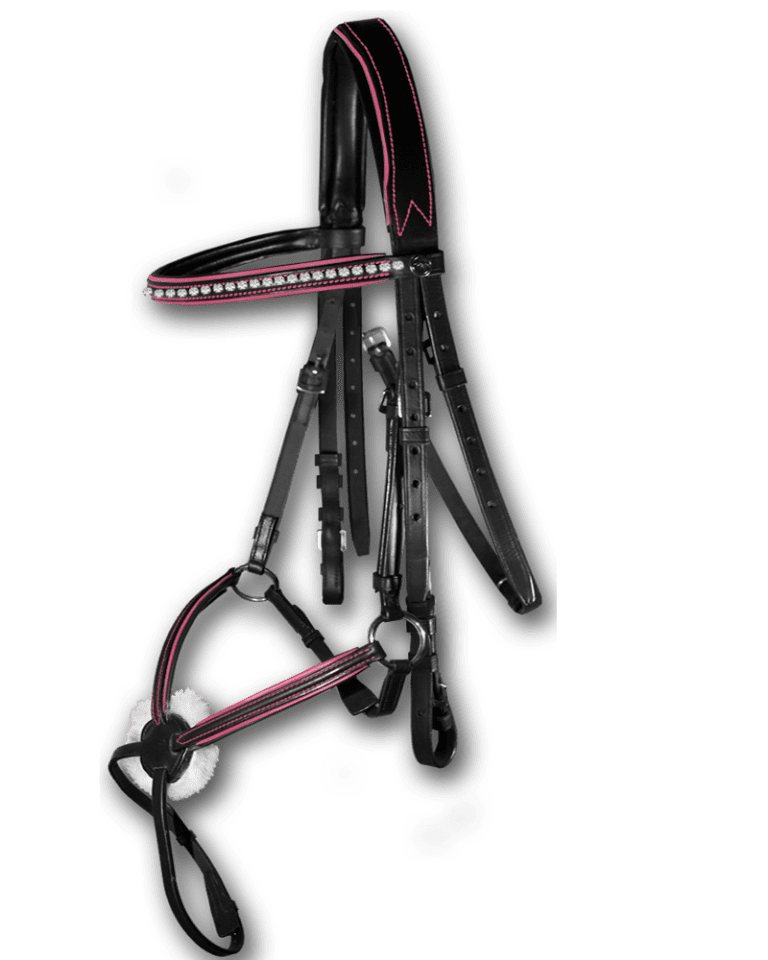 Pink Equine Hot Pink Grackle Bridle, Black Leather Full Size