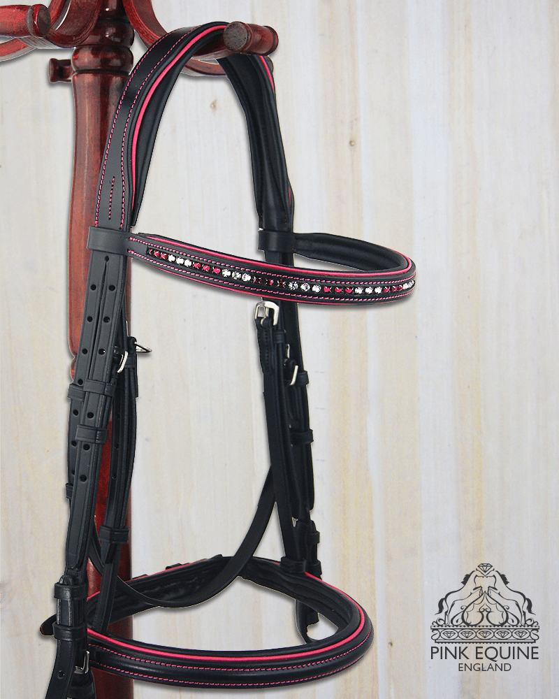 How to fit a bridle on a horse - A step by step guide