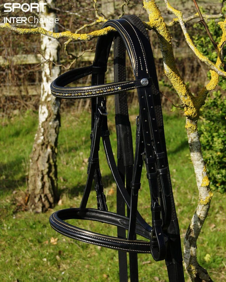 Brown Leather English Full size bridle with petrol piping