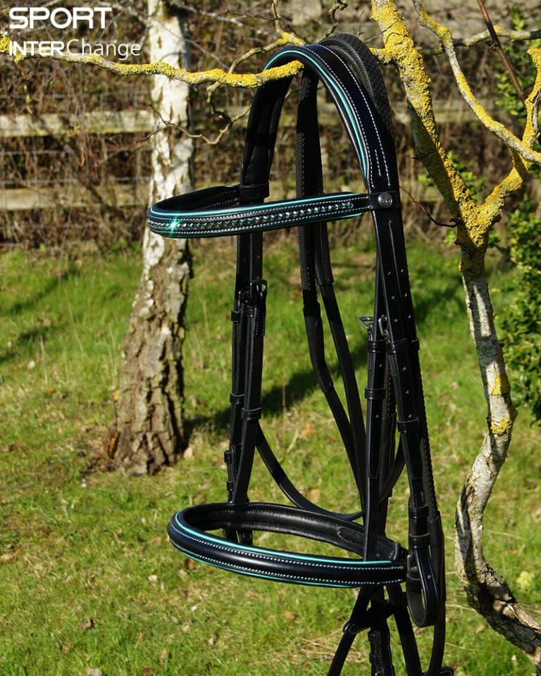 Brown Leather Plain Full Size bridle with Teal piping
