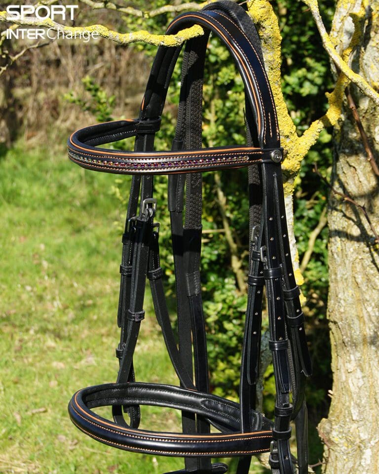 Brown Leather English Full size bridle with petrol piping
