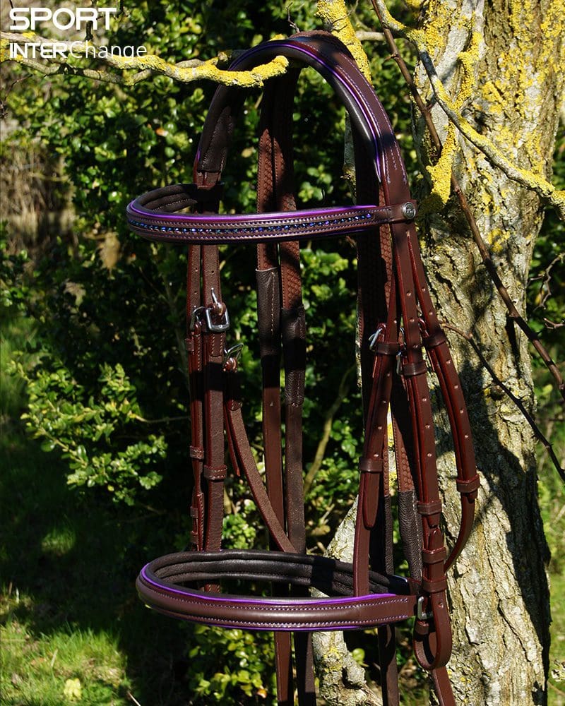 Brown Leather English Full size bridle with violet piping