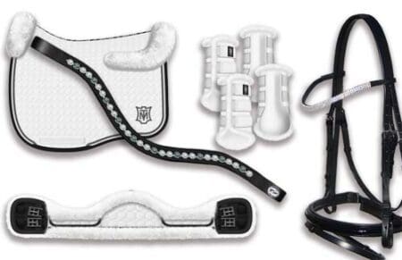 Colour matching Horse Tack Sets | Ignite your creativity!