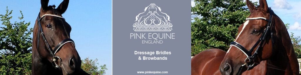 An introductory guide to the different types of bridles