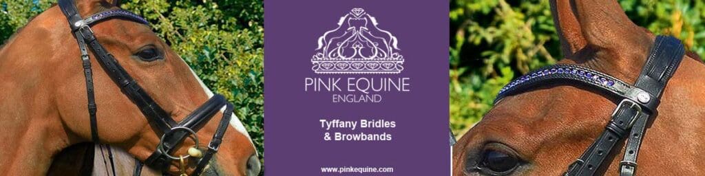 An introductory guide to the different types of bridles