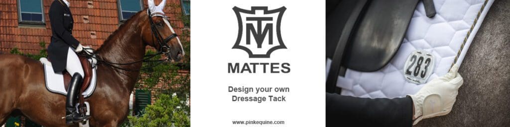 An introductory guide to the different types of bridles