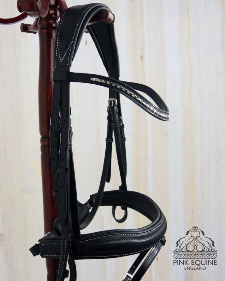Exploring parts of a bridle - A Guide to Bridle Anatomy.