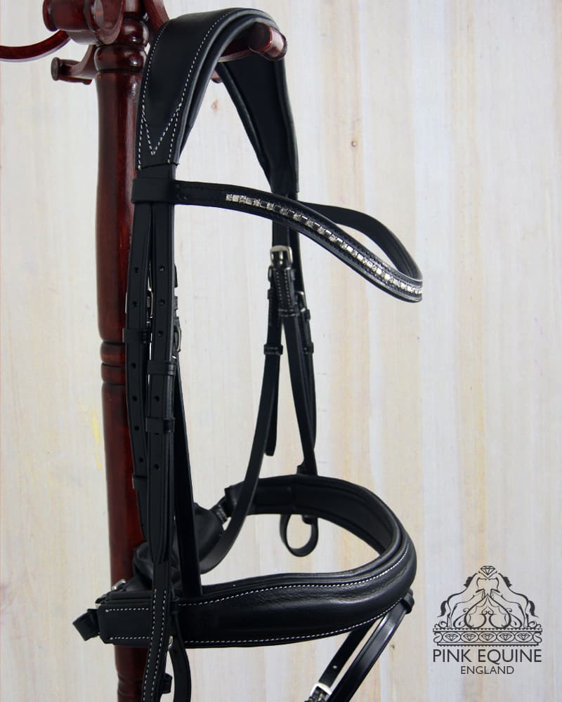 Exploring parts of a bridle - A Guide to Bridle Anatomy.
