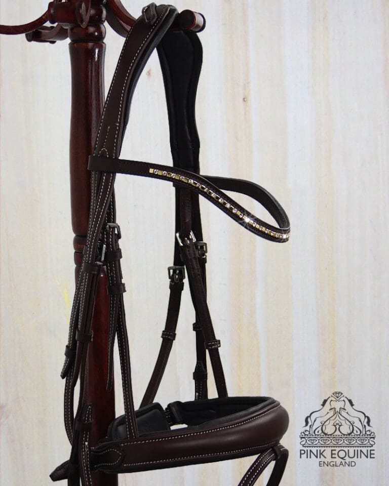 How to put a bridle on a horse in 6 easy steps