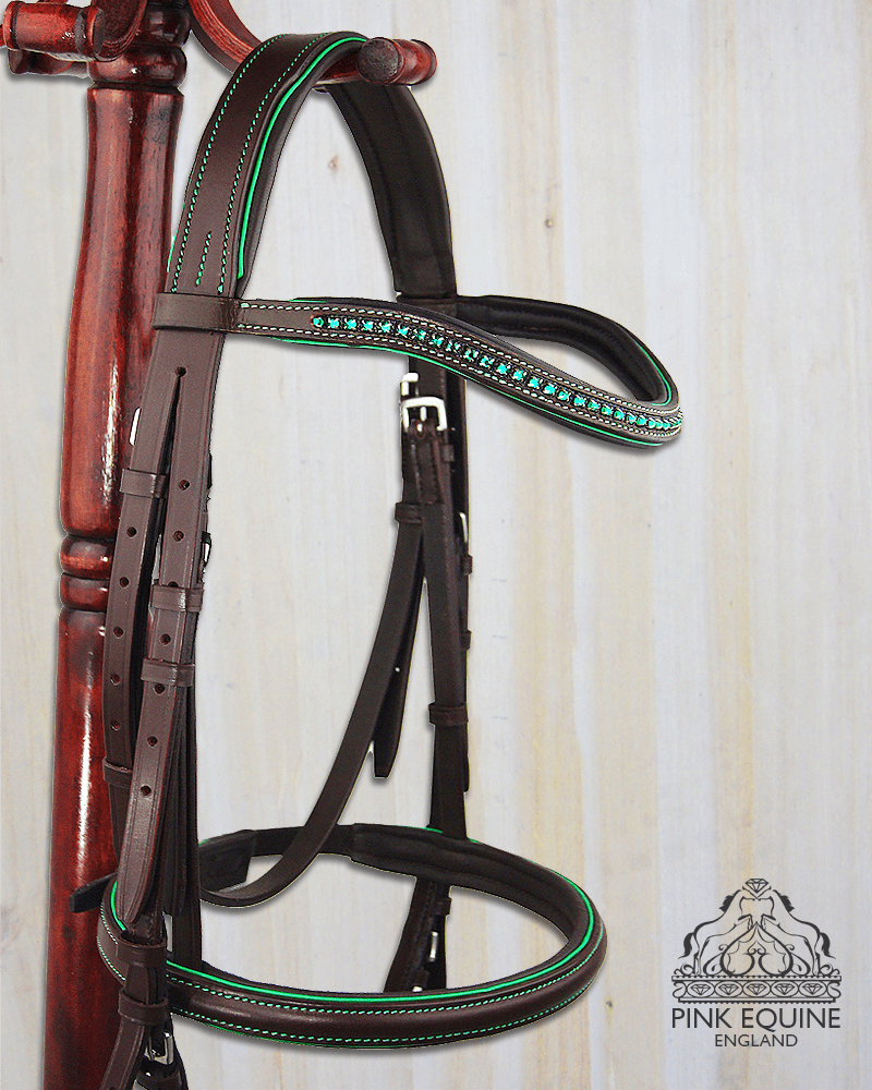 Exploring parts of a bridle - A Guide to Bridle Anatomy.