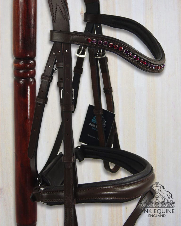 How to put a bridle on a horse in 6 easy steps