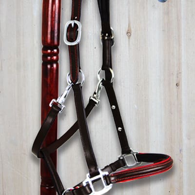 Pink Equine | Custom Horse Riding Gear | Online Tack Shop