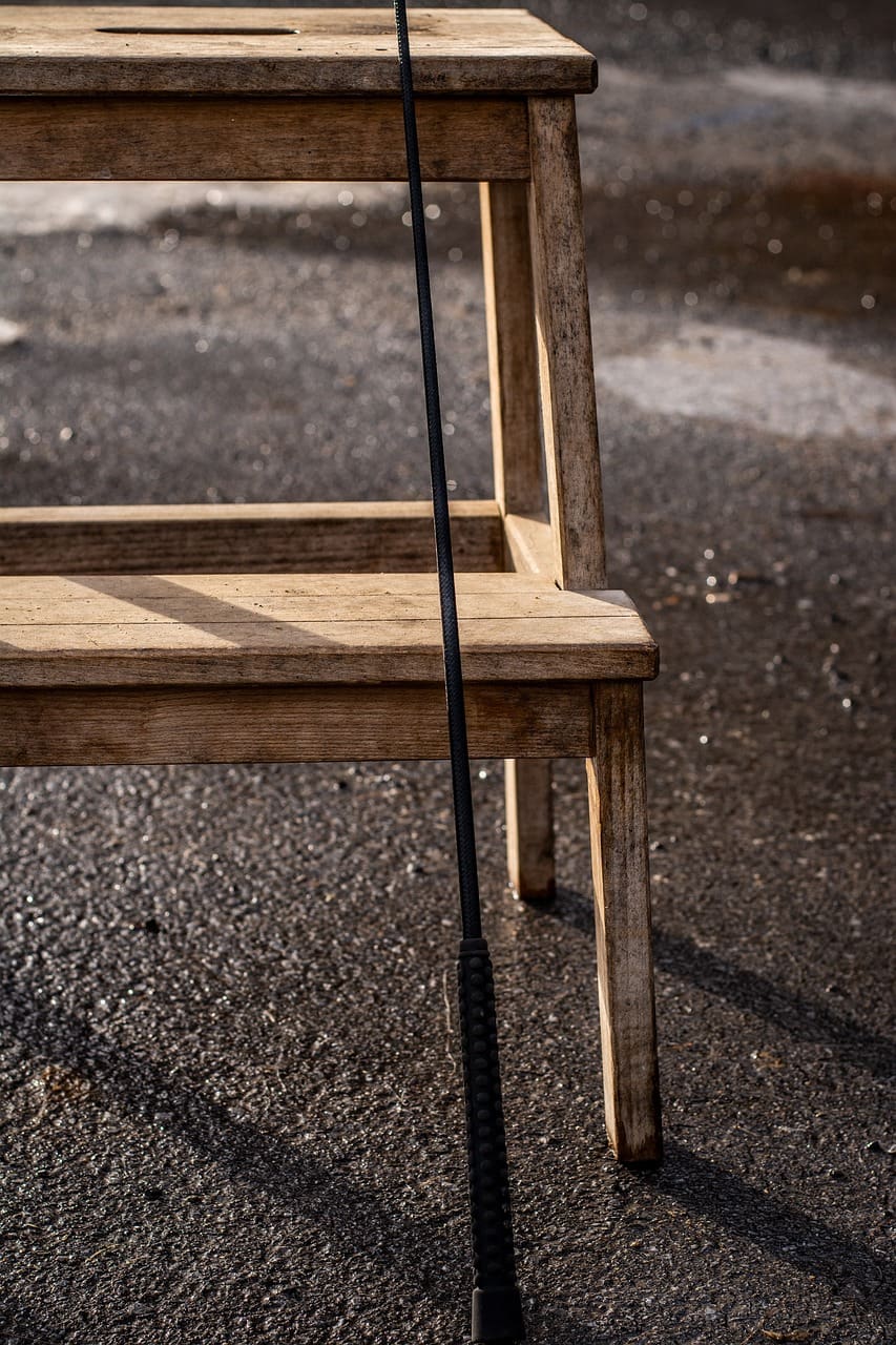 Types Of Horse Whips at Hamish Spooner blog