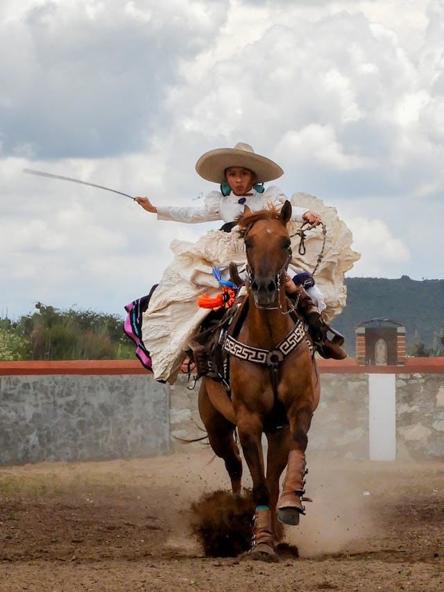 Why Different Countries Use Different Whip Styles